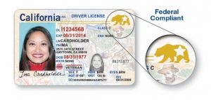 DMV Answers REAL ID Questions during ABC7 Prime Time Newscasts ...