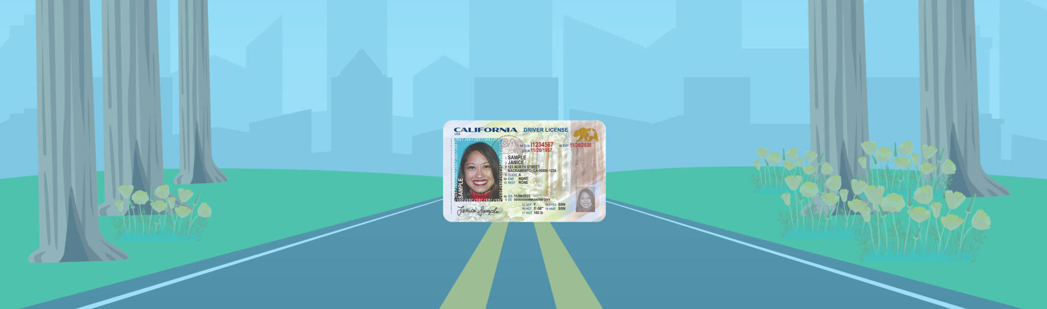 California DMV