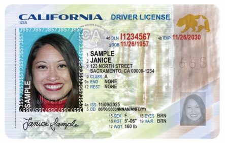 DMV to Release New California Driver’s License and Identification Card ...
